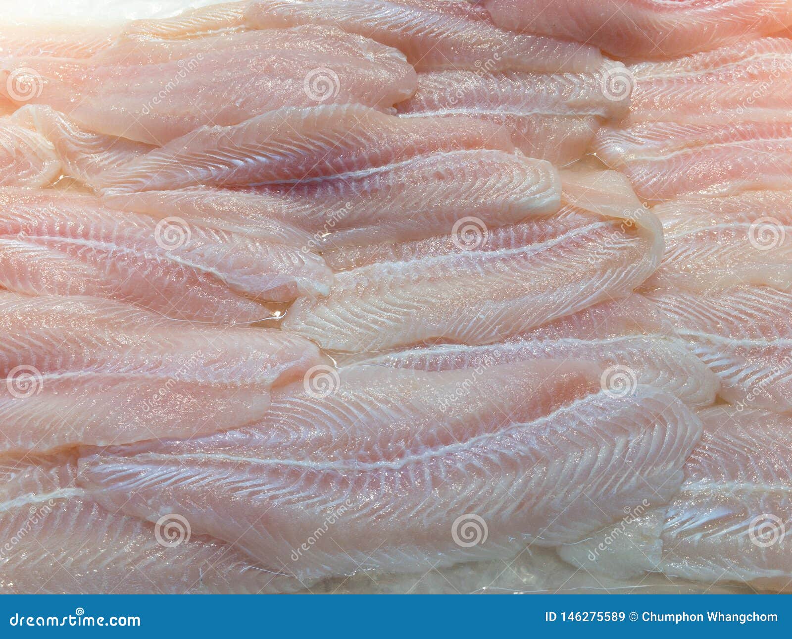 Raw fish fillet in market stock image. Image of catfish - 146275589