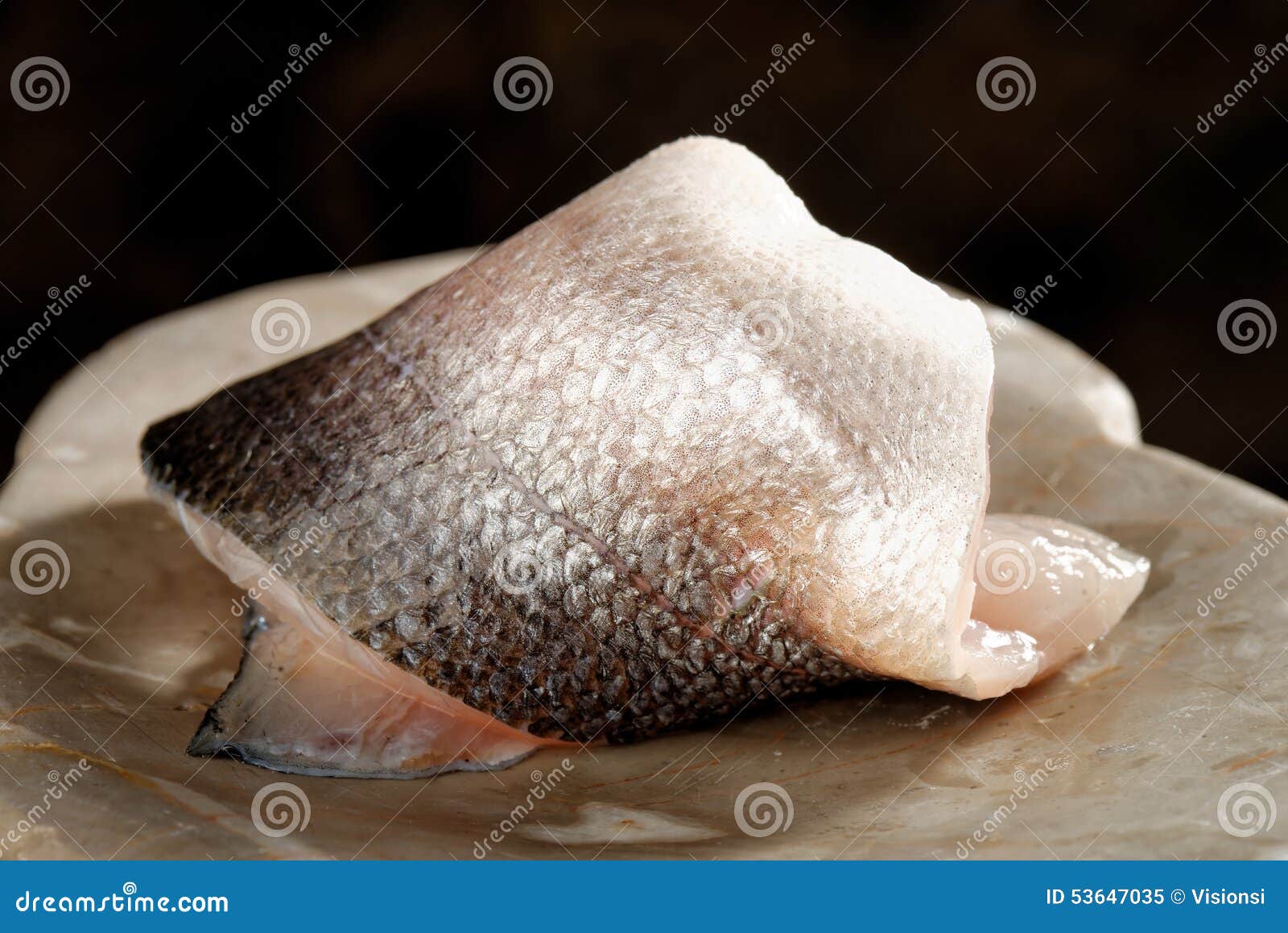 Raw fish fillet - Seabass stock image. Image of ferns - 53647035