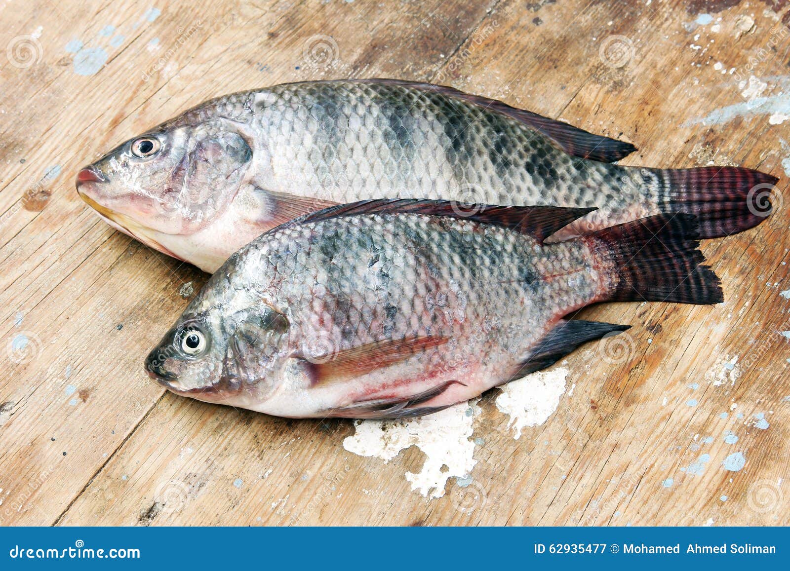 Raw Fish Stock Photo - Image: 62935477