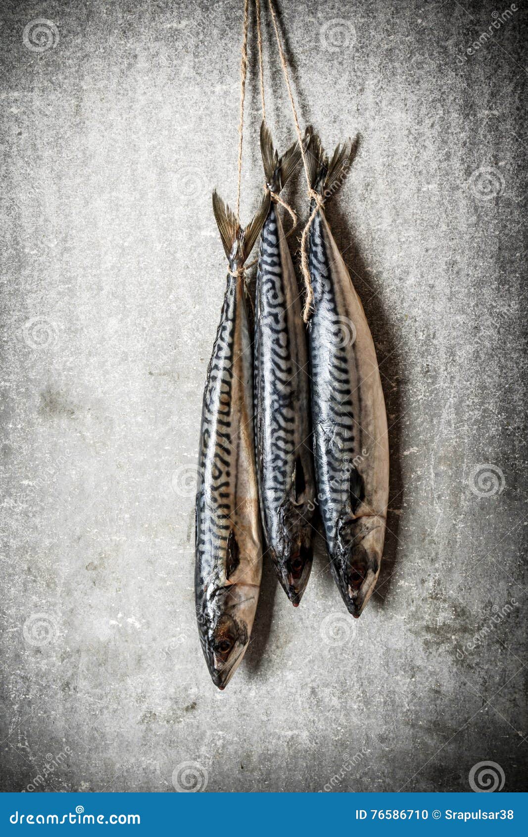 Raw Fish Hanging on a Rope. Stock Photo - Image of nature, scale: 76586710
