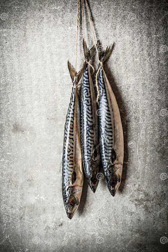 Raw Fish Hanging on a Rope. Stock Photo - Image of nature, scale: 76586710