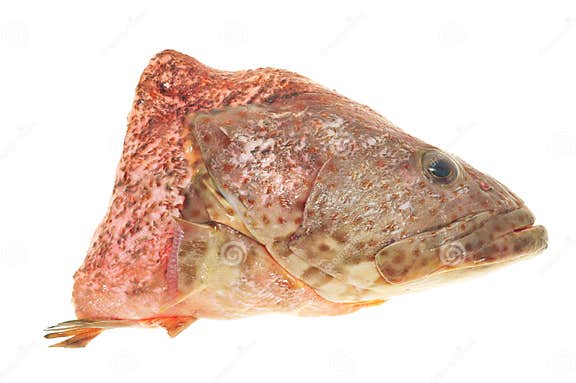 Raw Fish Head stock photo. Image of dish, cuisine, color - 26512390