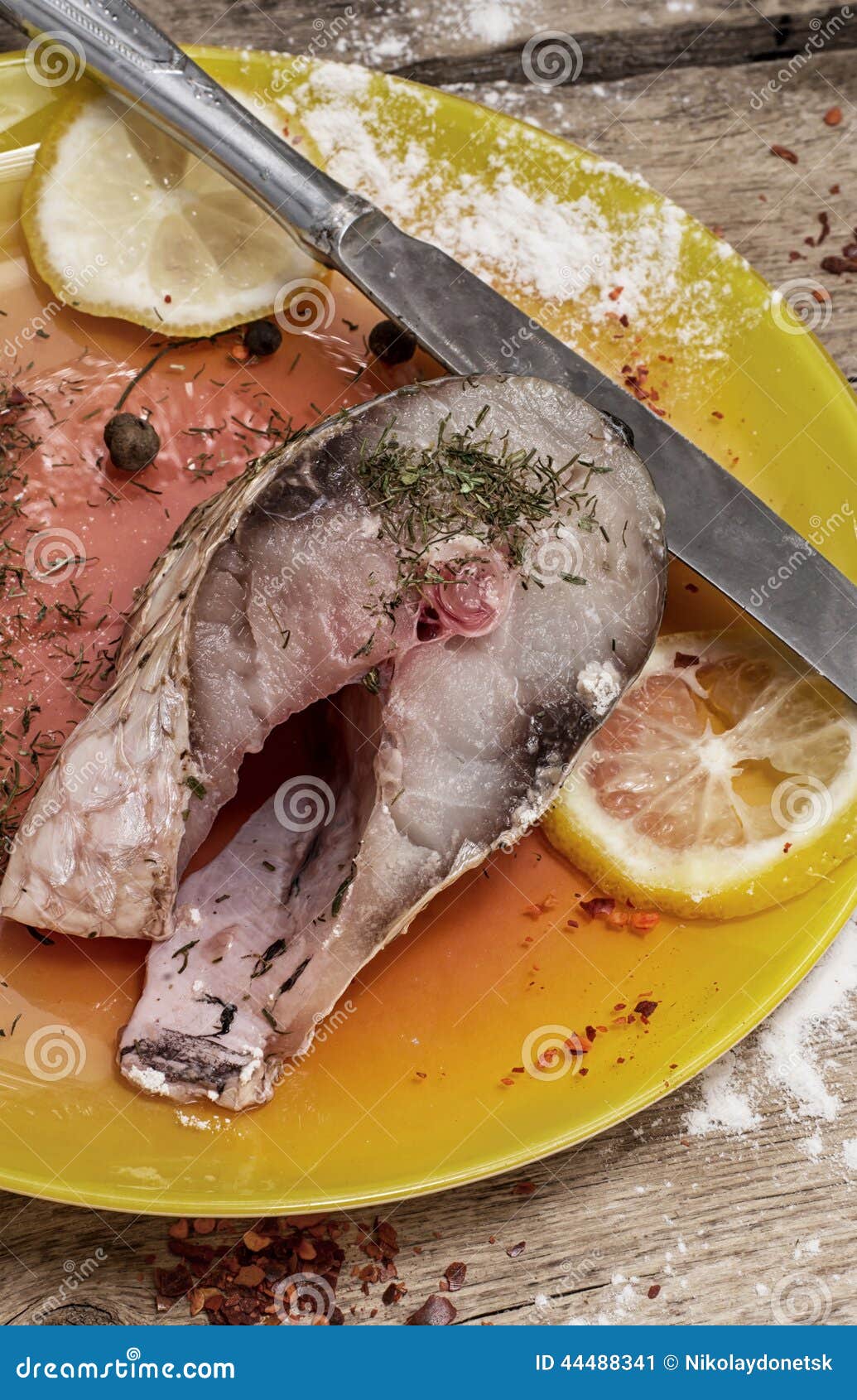 Raw Fish in Lemon and Spices Stock Image - Image of meal, grilled: 44488341