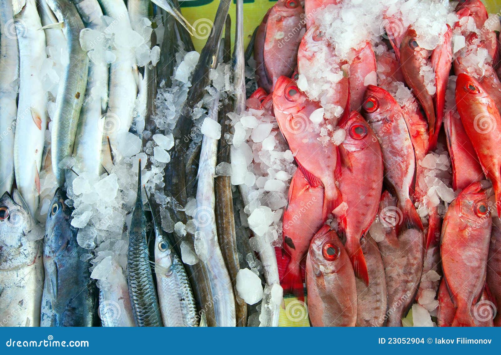 Raw fish on market counter stock photo. Image of saltwater - 23052904
