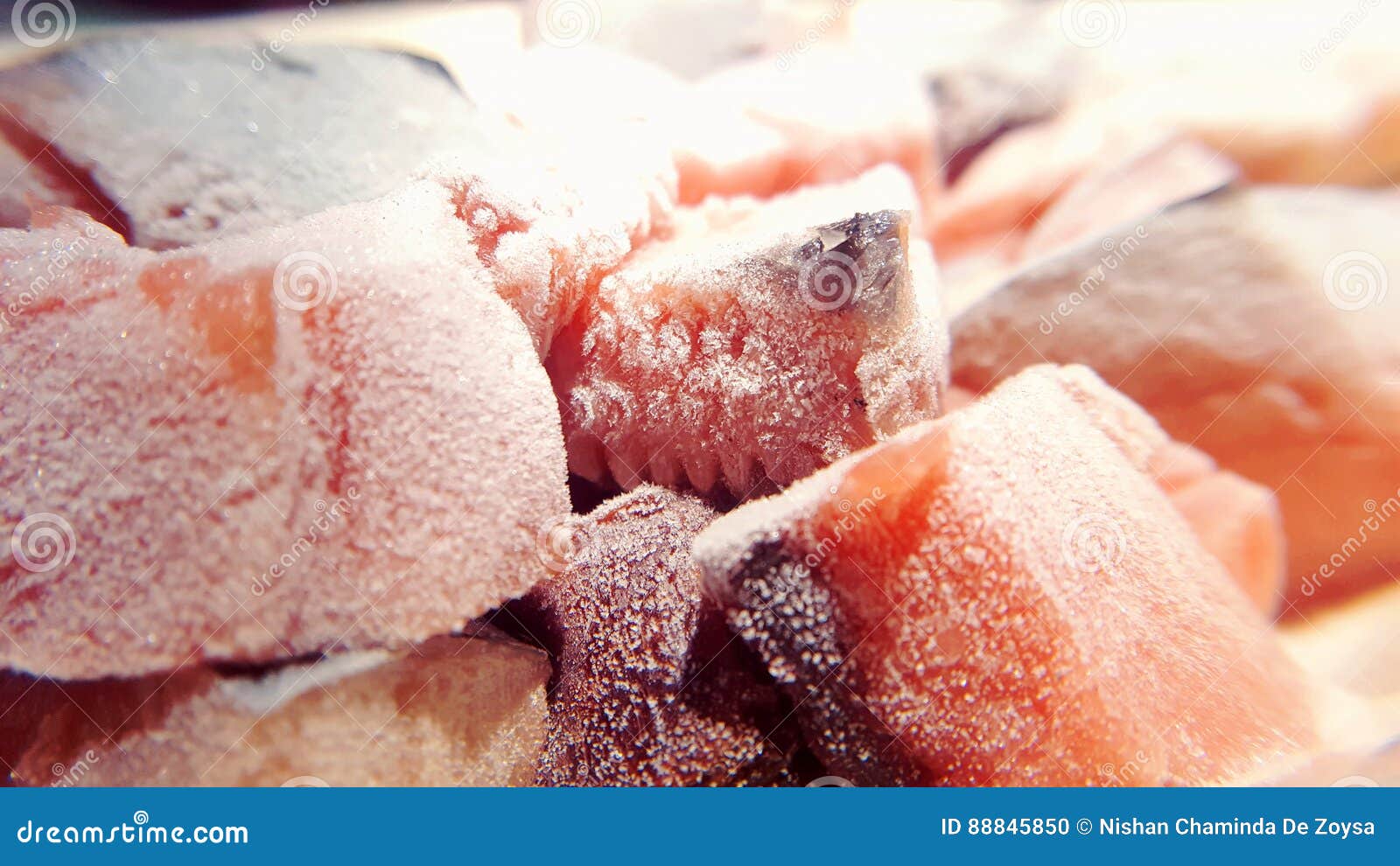 Raw Fish and Meats on a Plate Stock Photo - Image of frozen, aquatic ...