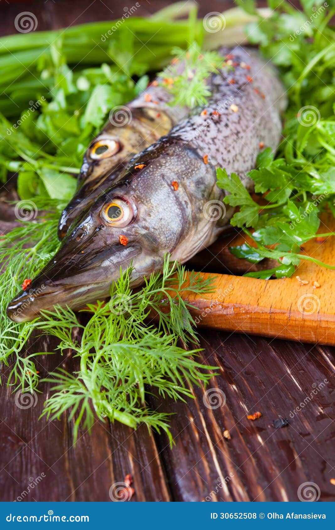 Raw Fish Pike on the Board and Greens Stock Photo - Image of parsley ...