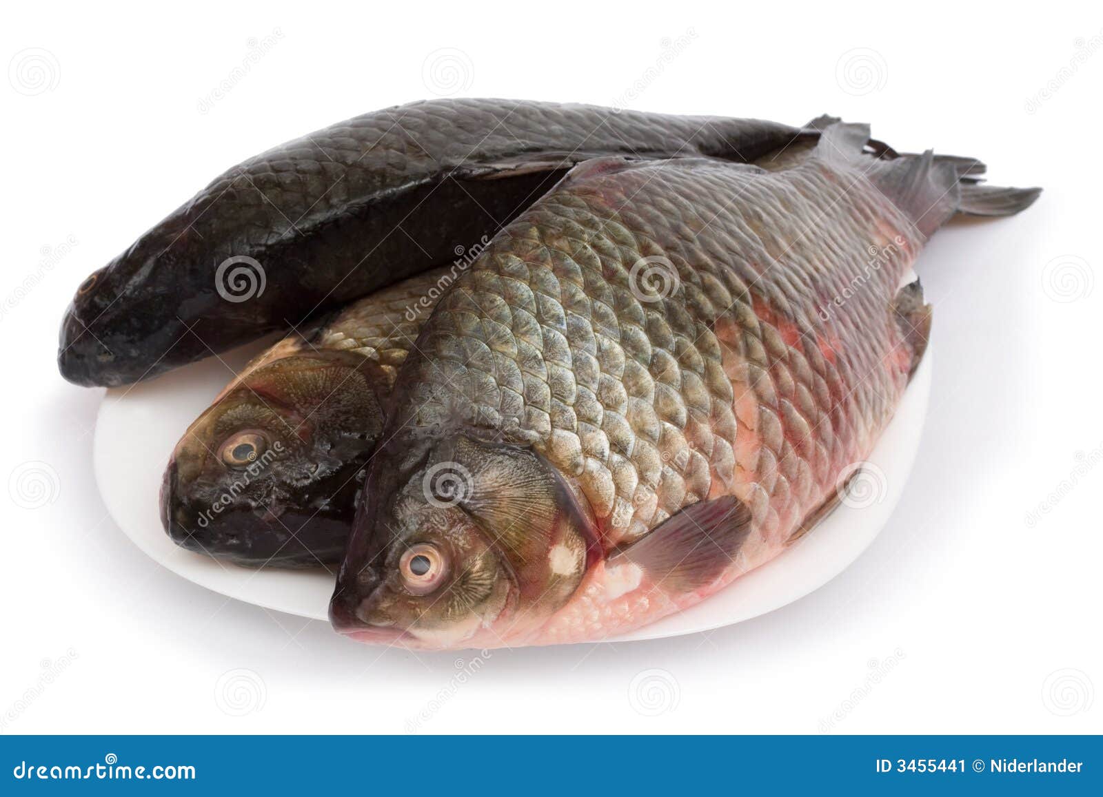 Raw Fish On Plate Stock Image - Image: 3455441