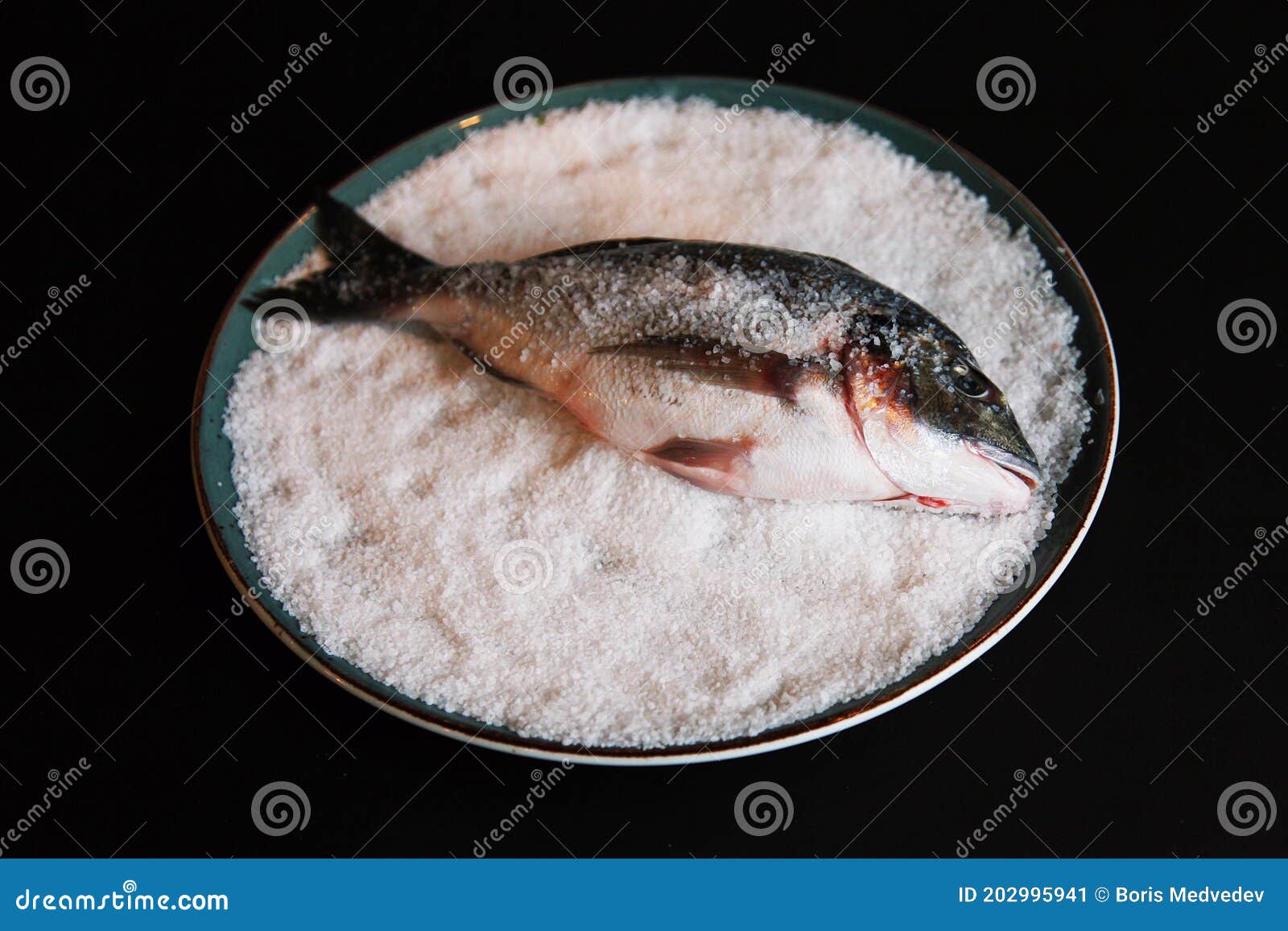 Raw Fish on a Plate with Salt Stock Image - Image of animal, gastronomy ...
