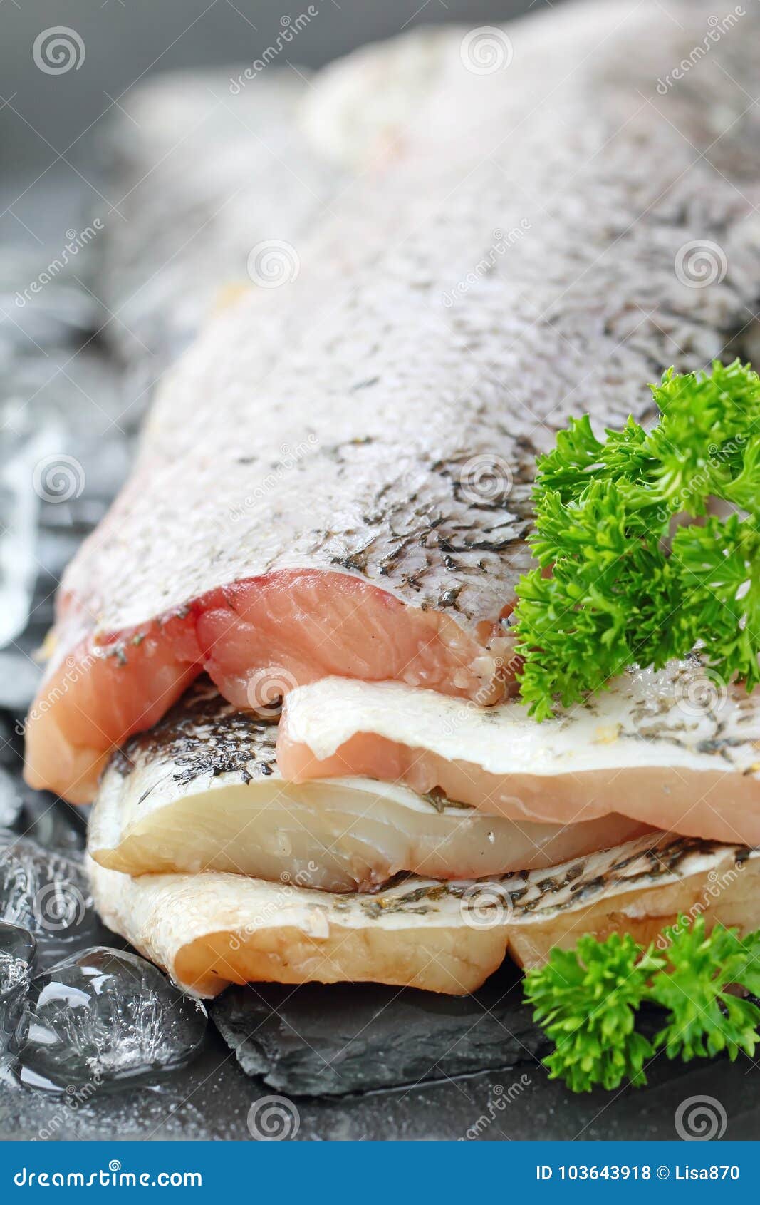 Raw fish ready for cooking stock photo. Image of ingredient - 103643918
