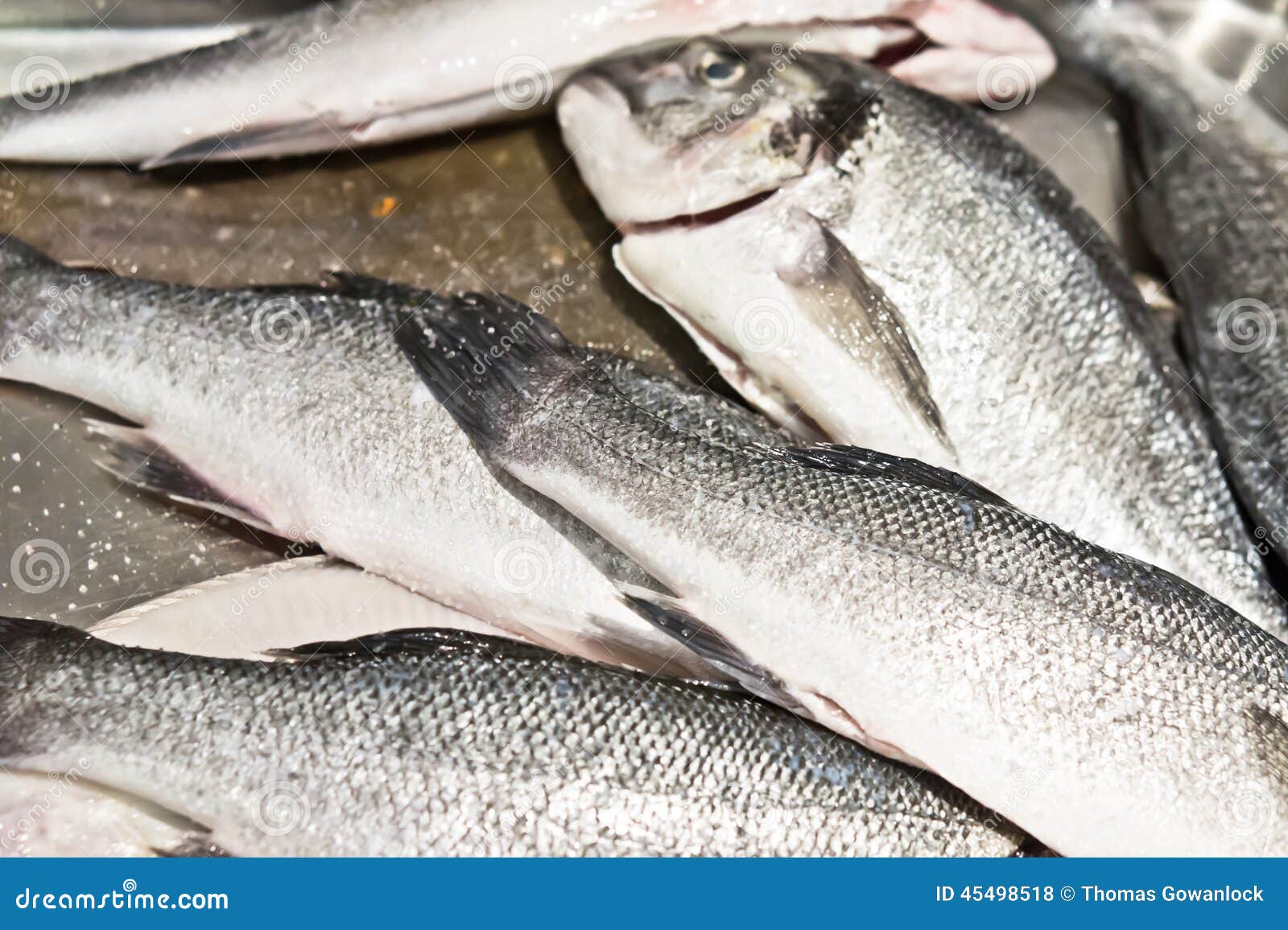 Raw fish stock photo. Image of fresh, fishingm, head - 45498518