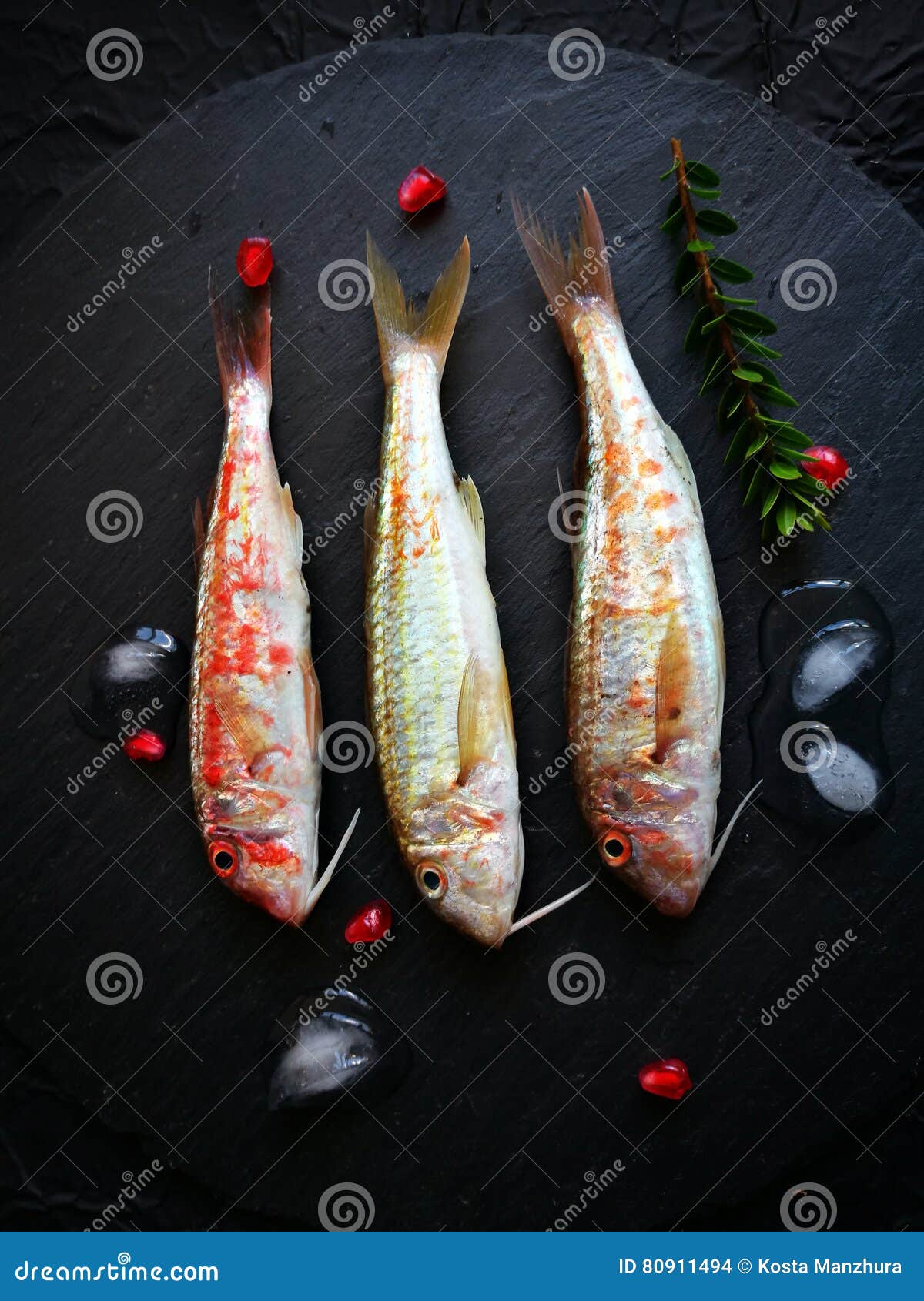 Raw Fish Surmullet Goatfish on a Black Stone Stock Photo - Image of ...