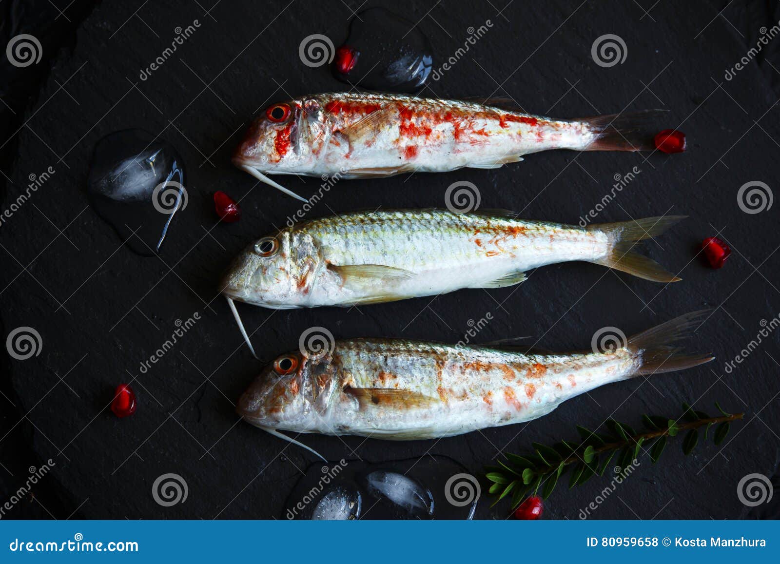 Raw Fish Surmullet Goatfish on a Black Stone Stock Photo - Image of ...