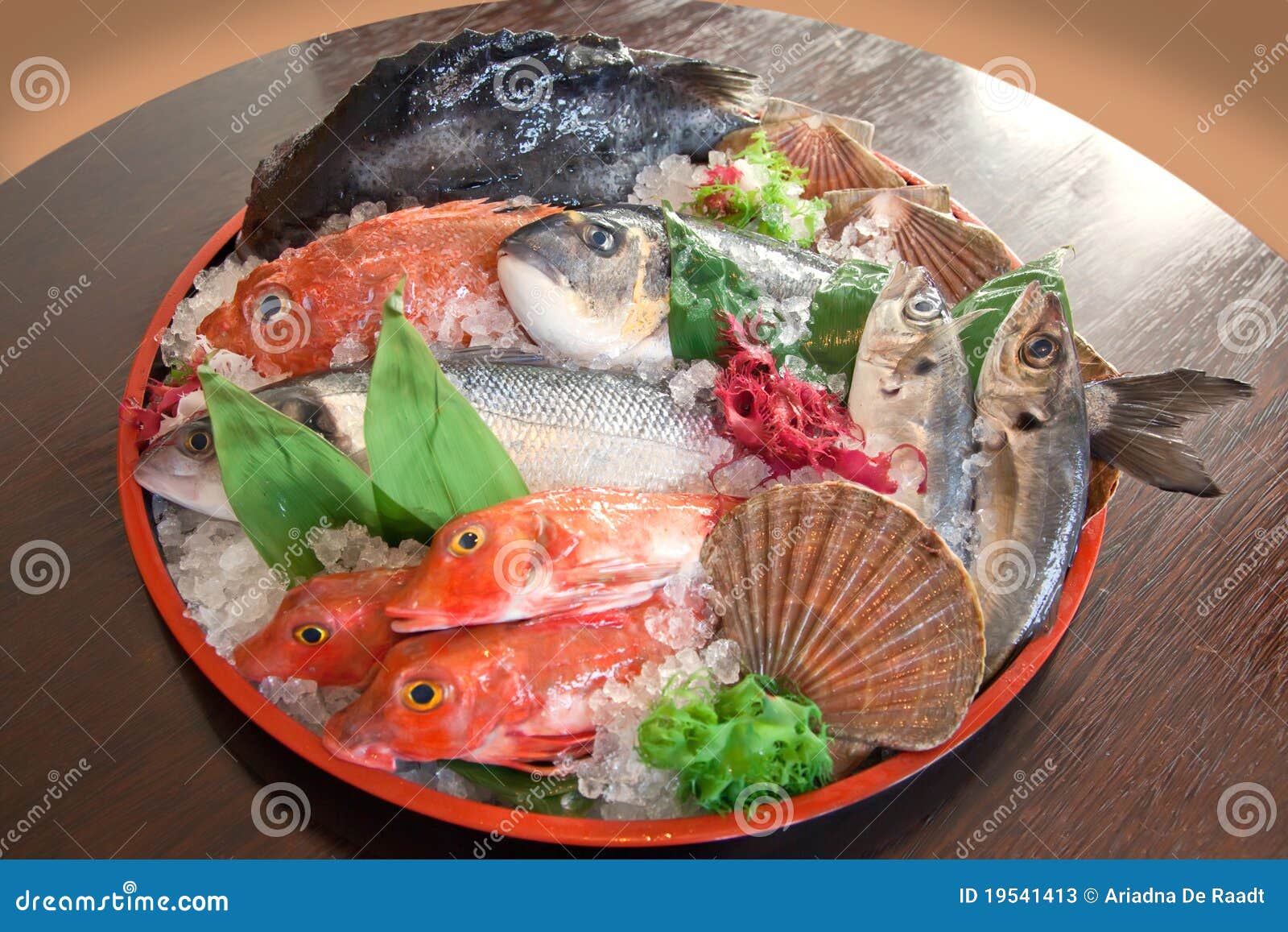 Raw fish on tray stock image. Image of seafood, cold - 19541413