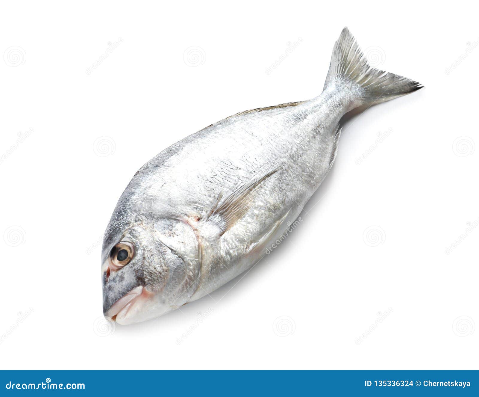 Raw Fish on White Background. Natural Food High Stock Photo - Image of ...