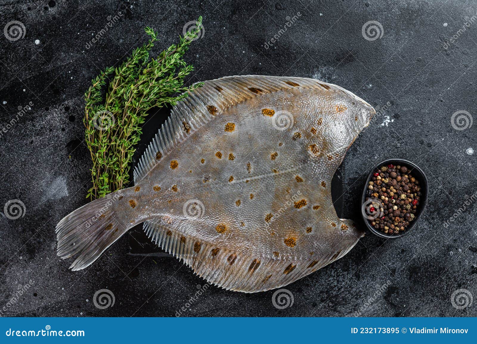 Flounder, Flatfish Washed Up On Beach, North Devon. Stock Photography ...