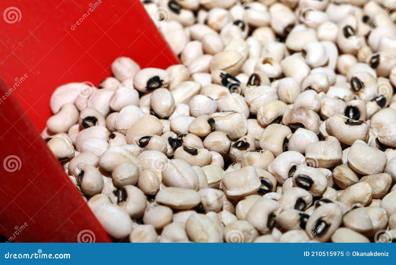 Raw Food Legume Kidney Bean Stock Image - Image of close, grain: 210515975
