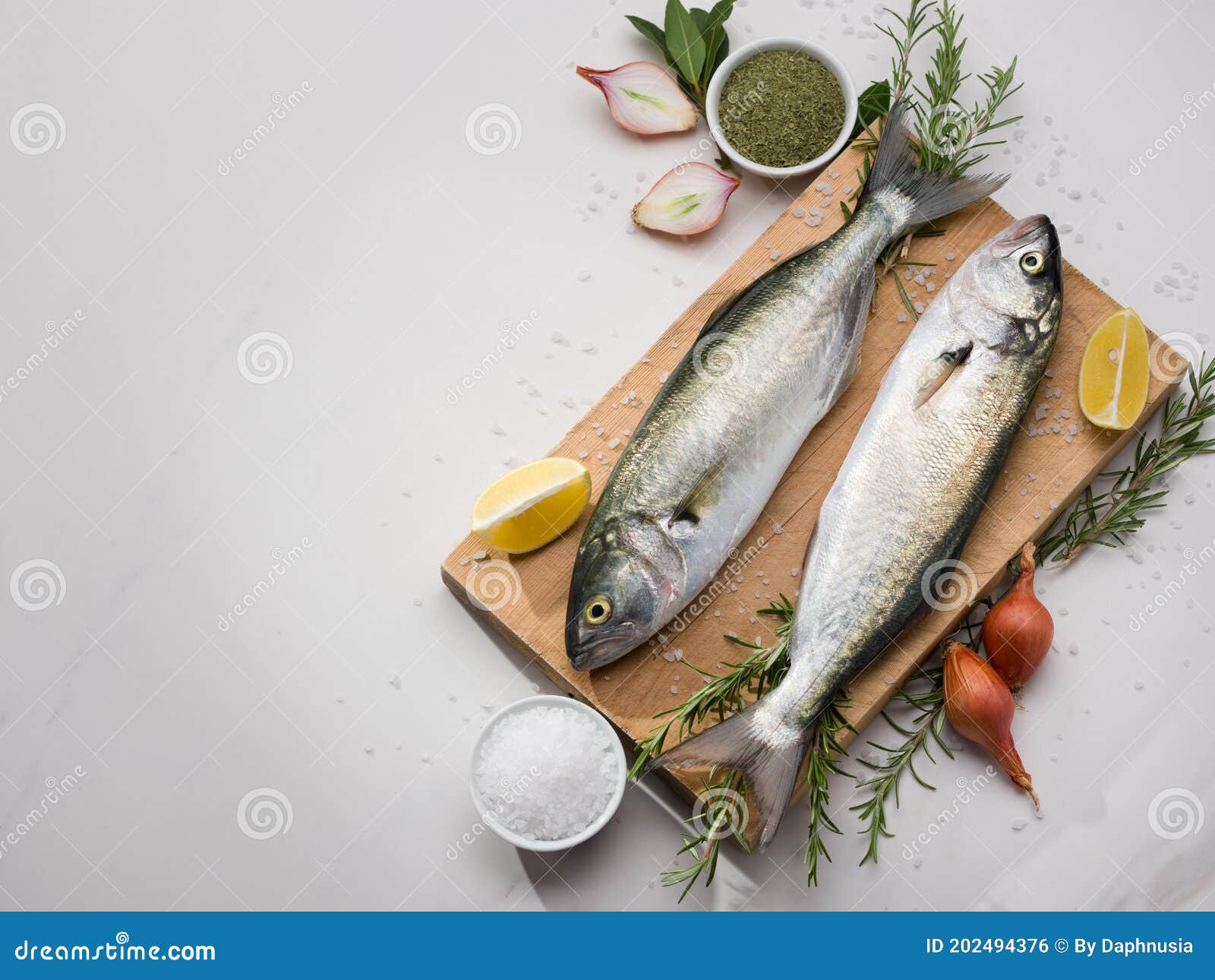Raw fresh bluefish stock photo. Image of isolate, cool - 202494376