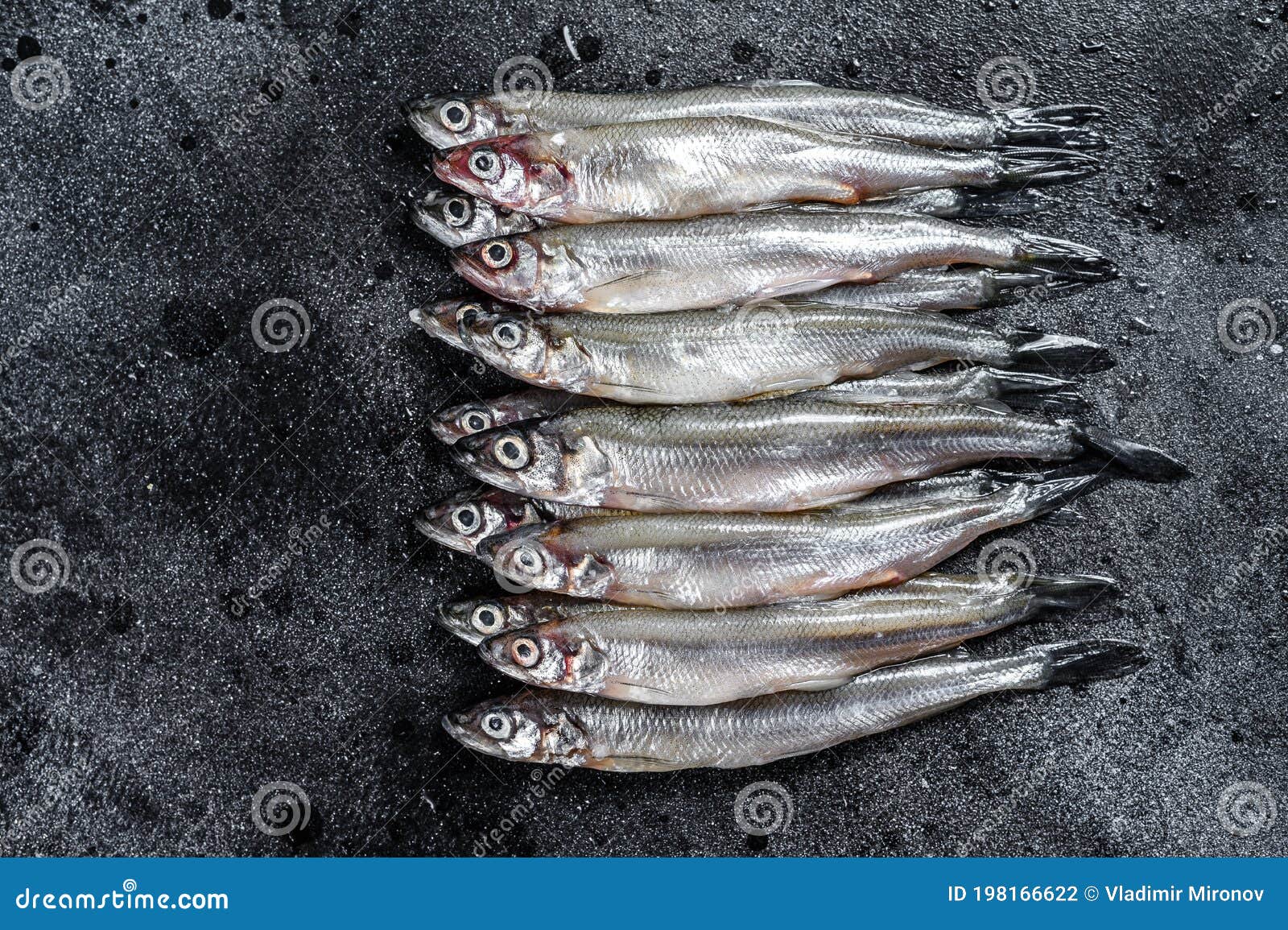 Raw Fresh Capelin Fish. Black Background Stock Photo - Image of diet ...