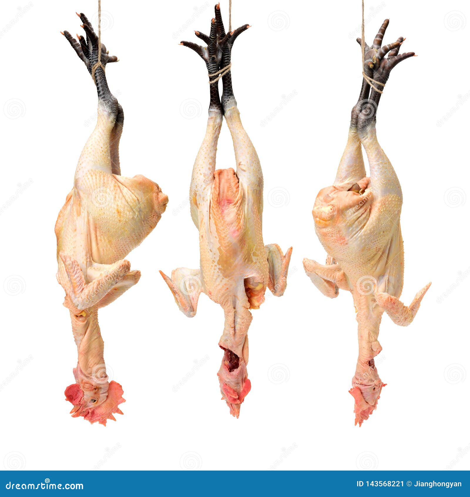 Raw fresh chicken stock image. Image of protein, poultry - 143568221