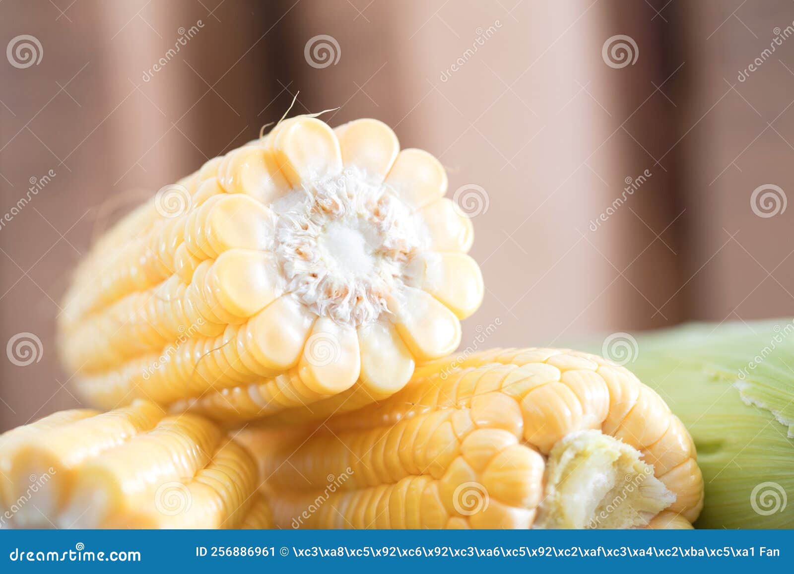 The Raw Fresh Corn Cobs are Broken into Several Pieces Stock Image ...