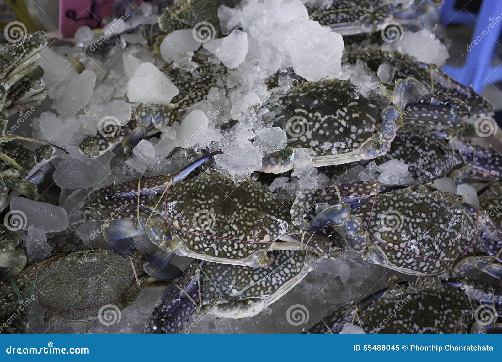 Raw Fresh Crabs on ice stock image. Image of crab, ingredient - 55488045