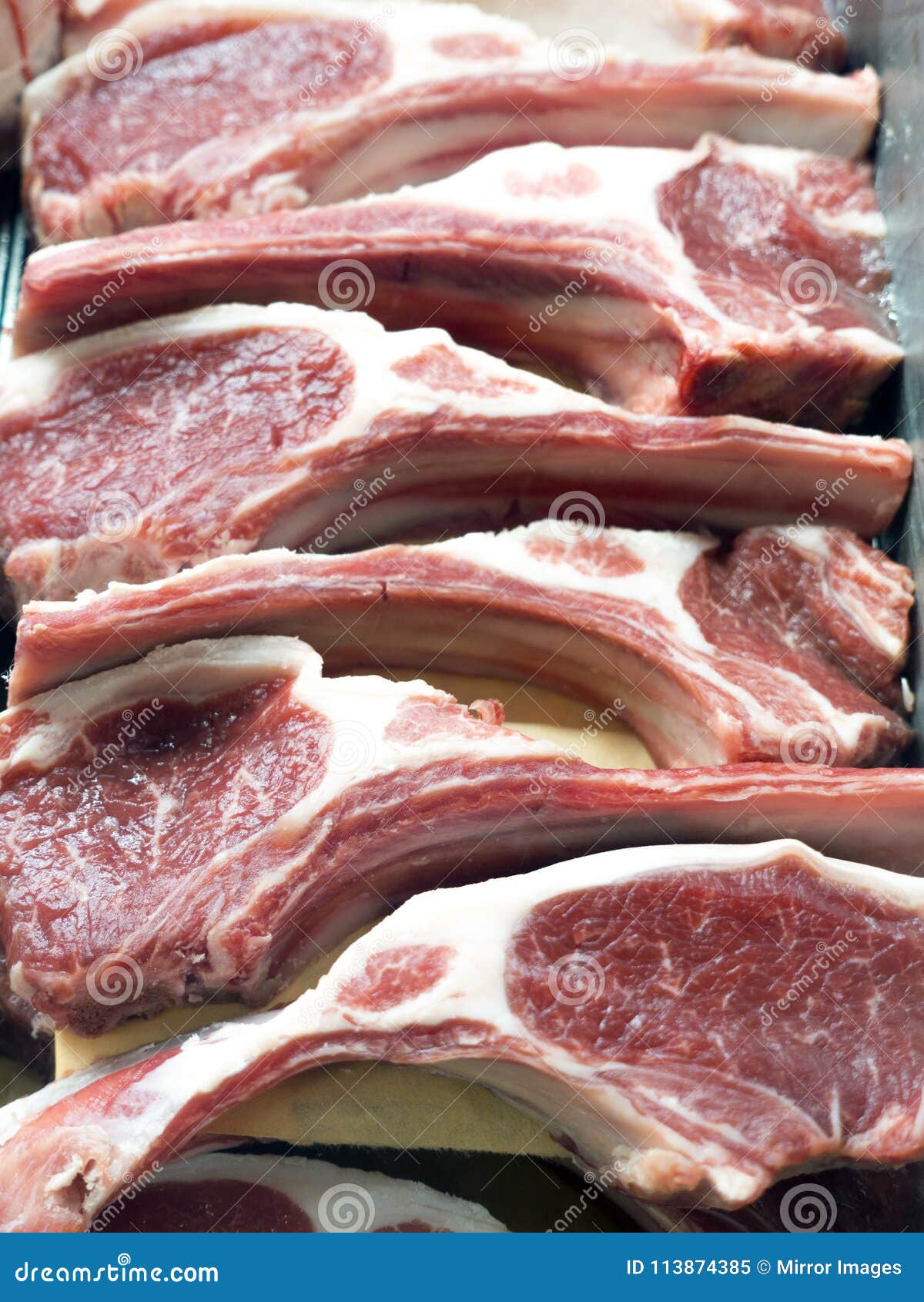 Lamb chops at the butcher stock image. Image of lamb - 113874385