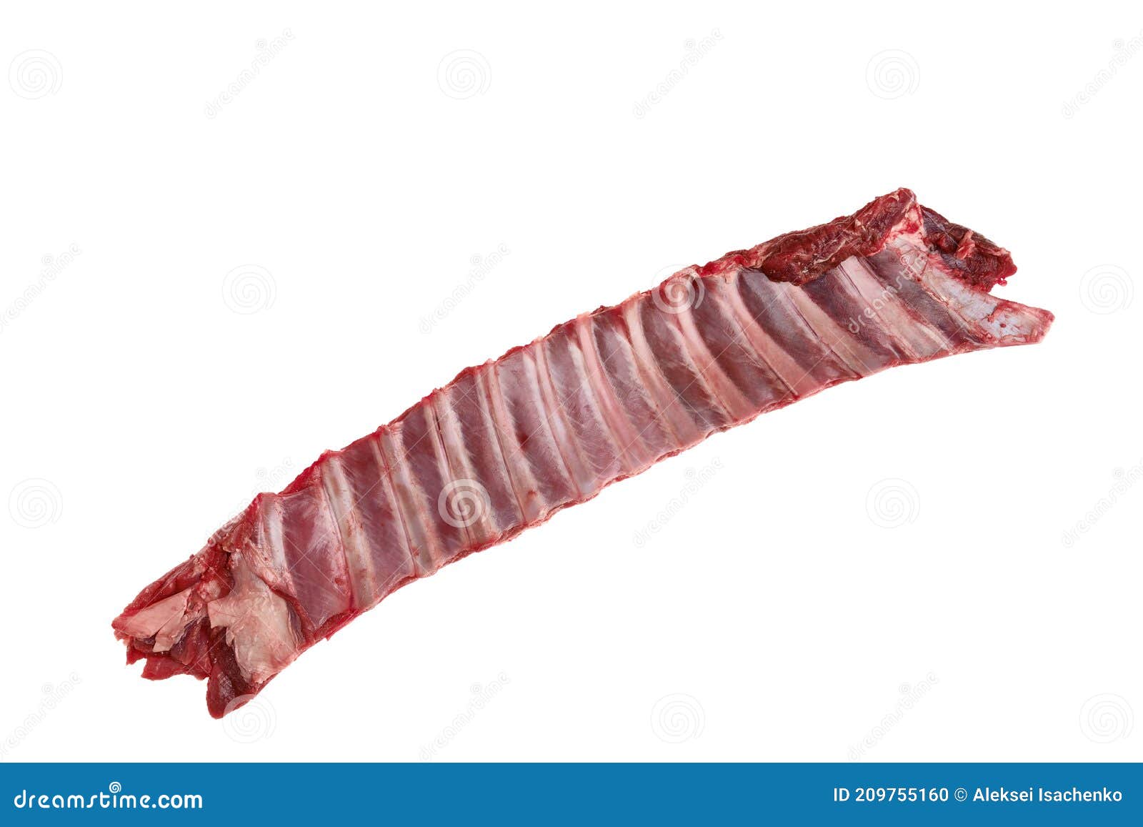 Raw fresh deer ribs stock photo. Image of bone, meat - 209755160