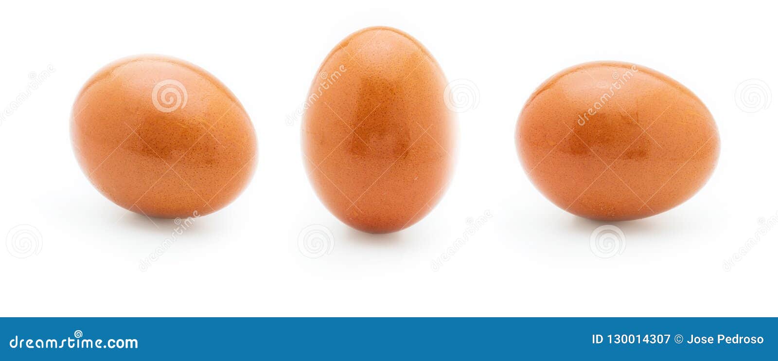 A Raw and Fresh Egg. Front and Side Views Stock Image - Image of ...