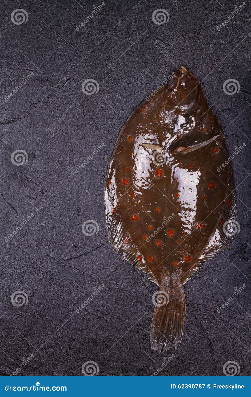 Raw Fresh Fish on Gray Stone Texture Background. View from Above, Top ...