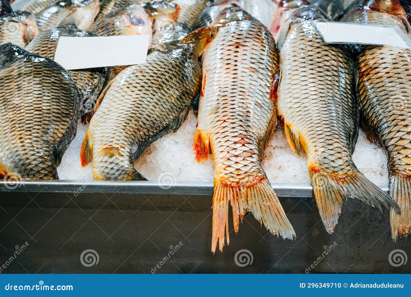 Raw Fresh Fish at the Market Stock Photo - Image of shop, market: 296349710