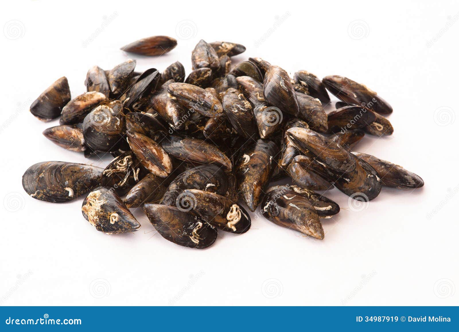 Raw and Fresh Galician Mussels. Stock Image - Image of shell, healthy ...