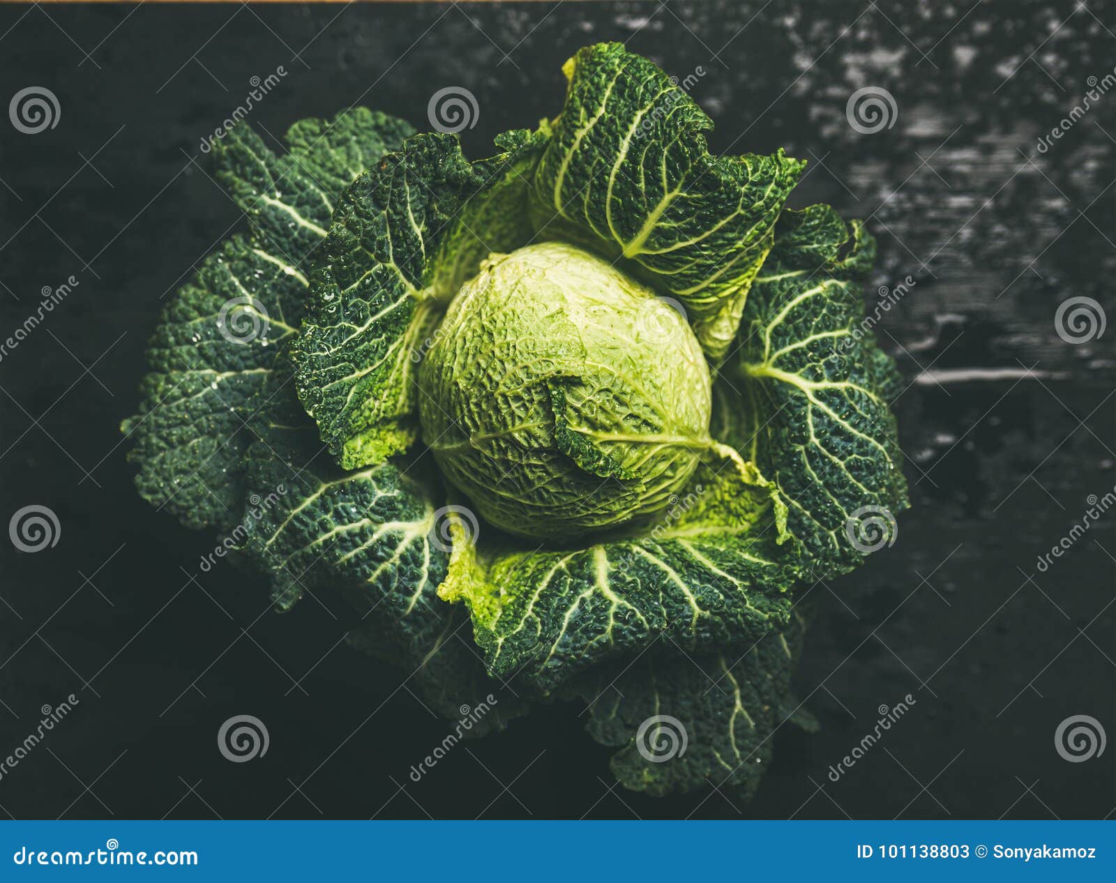 Raw Fresh Green Cabbage Over Dark Background Stock Image - Image of ...
