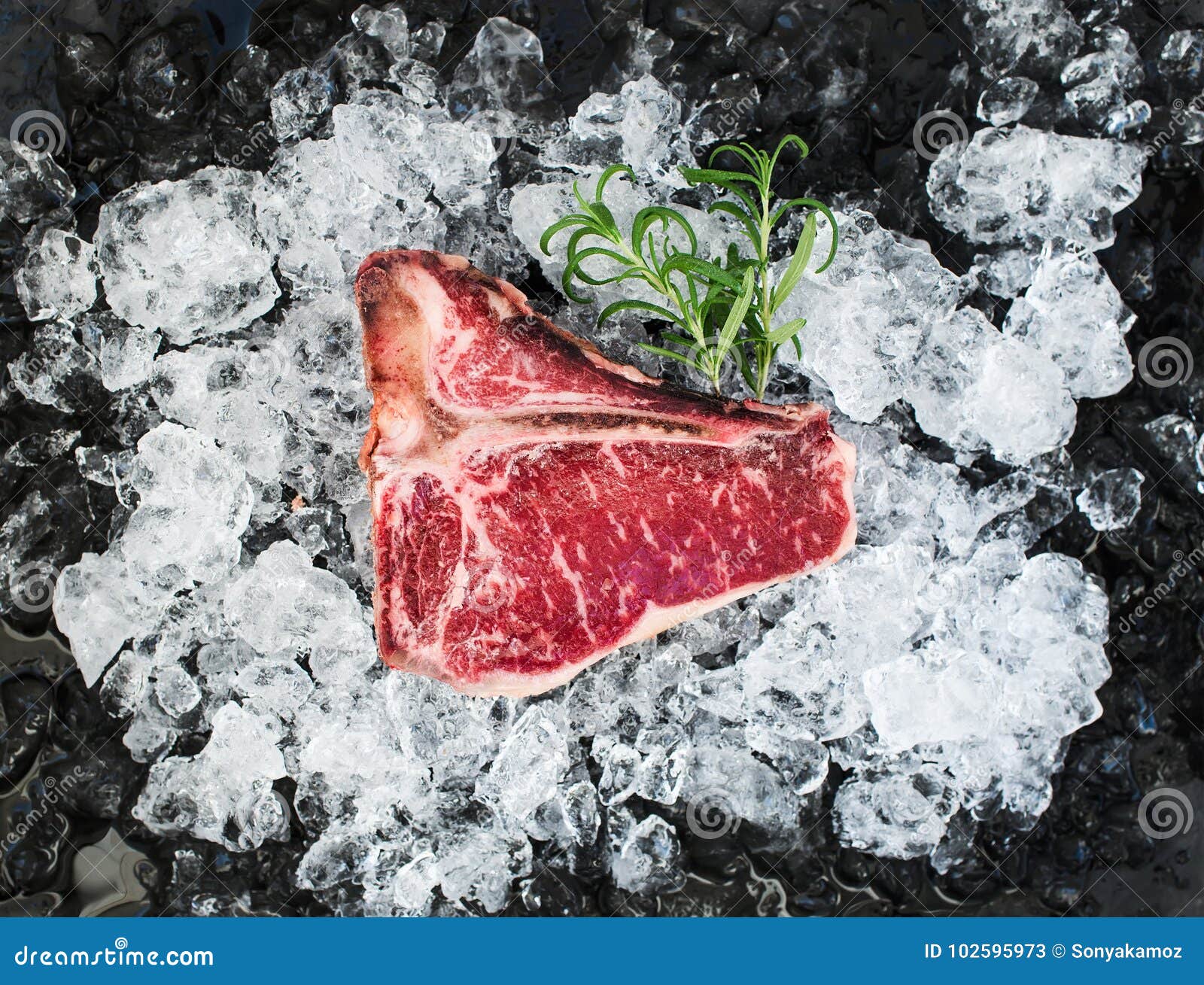 Raw Fresh Meat T-bone Steak on Chipped Ice Stock Image - Image of ... Raw Fresh Meat T-bone Steak on Chipped Ice Stock Image - Image of ...