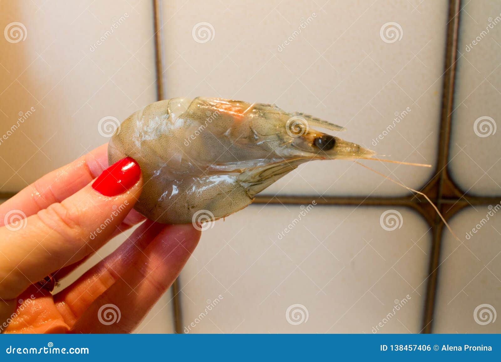 Raw Fresh Prawn in the Hand on the Kitchen Stock Photo - Image of ...