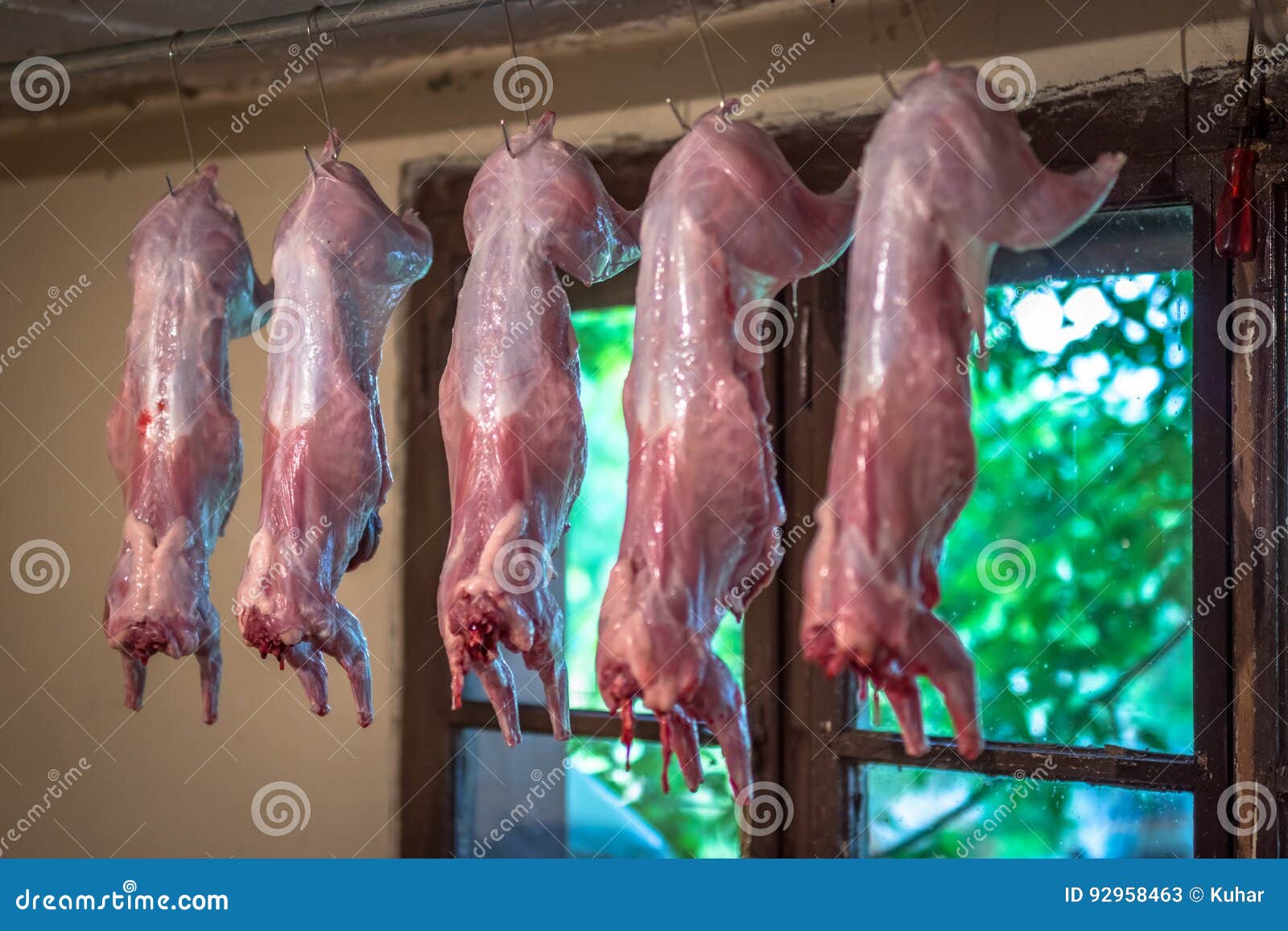 Raw fresh rabbit meat stock image. Image of lunch, cuisine - 92958463