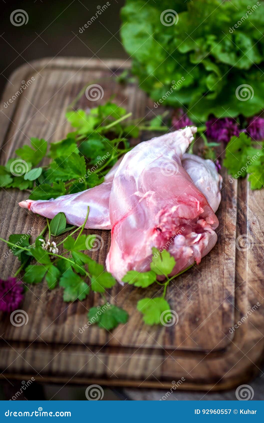 Raw fresh rabbit meat stock image. Image of ingredient - 92960557