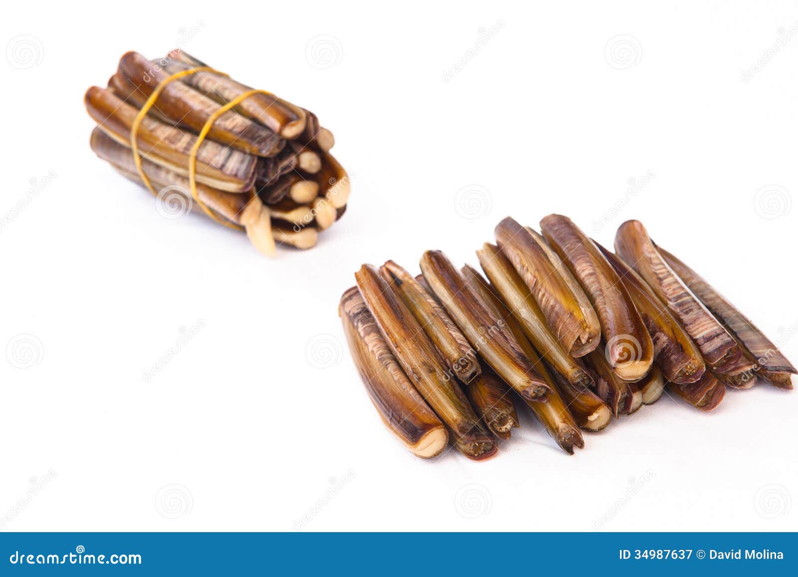 Raw and Fresh Razor Shells. Stock Image - Image of seafood, coastal ...