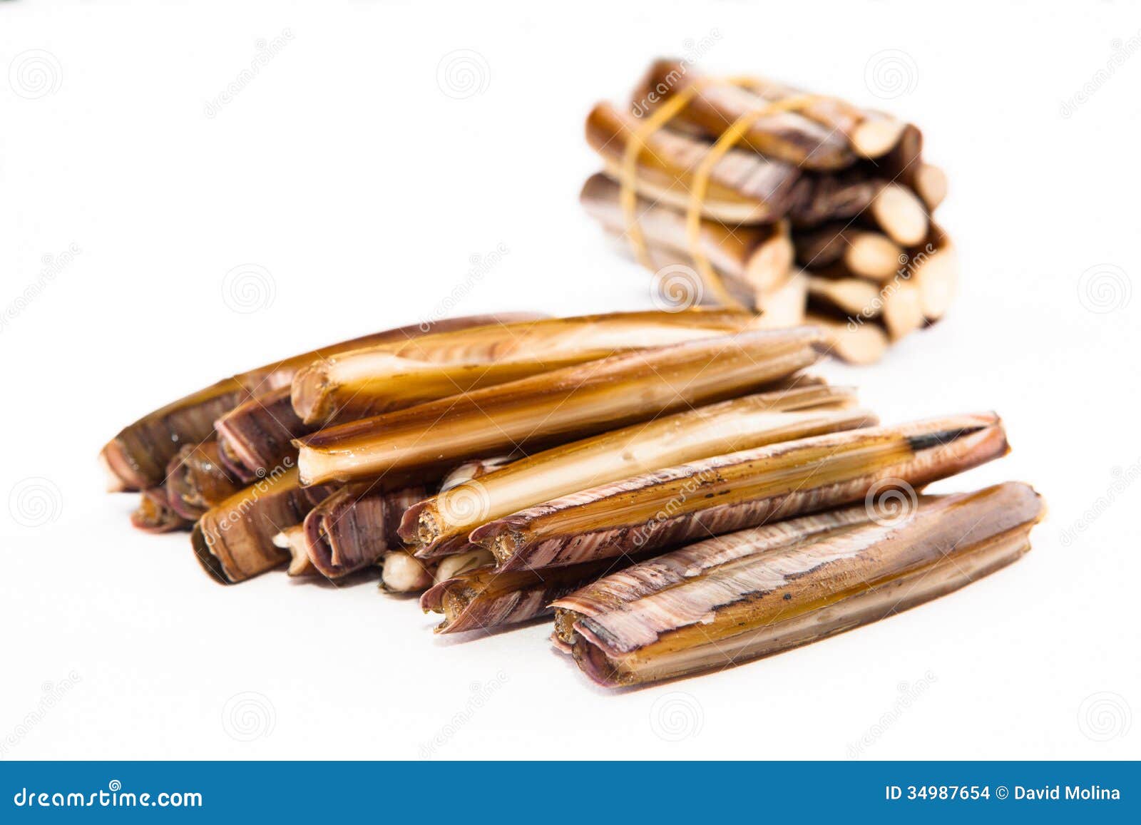 Raw and Fresh Razor Shells. Stock Photo - Image of fauna, mollusk: 34987654