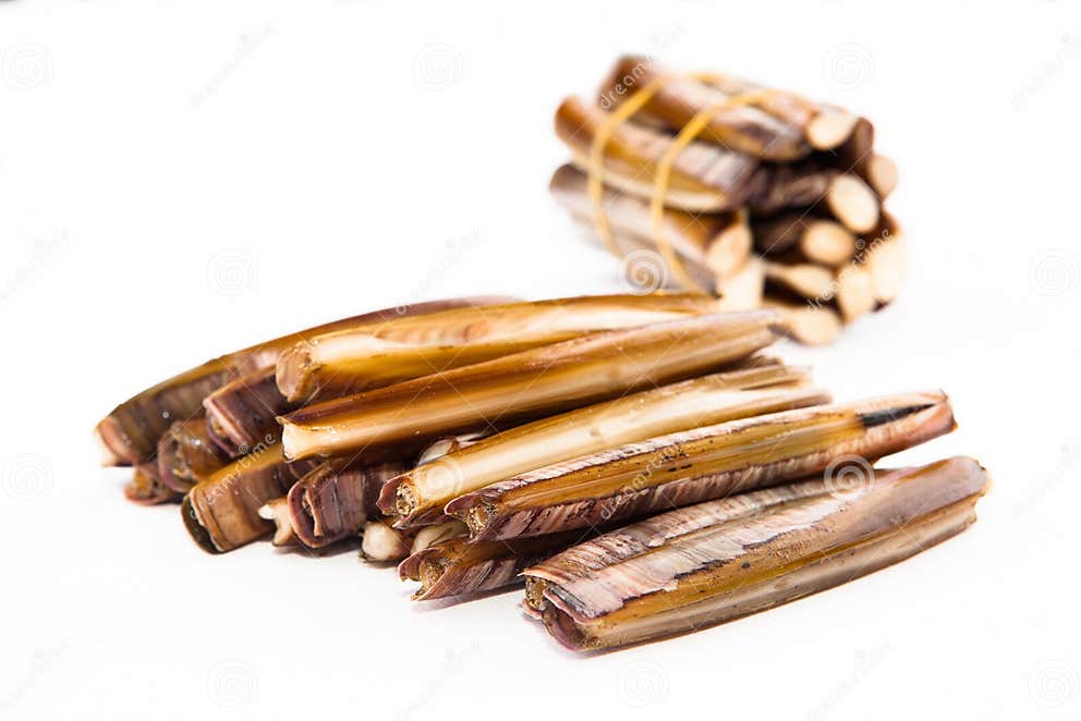 Raw and Fresh Razor Shells. Stock Photo - Image of fauna, mollusk: 34987654