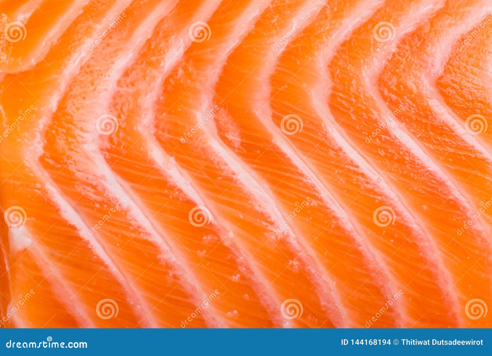 Raw fresh salmon texture stock photo. Image of freshness - 144168194