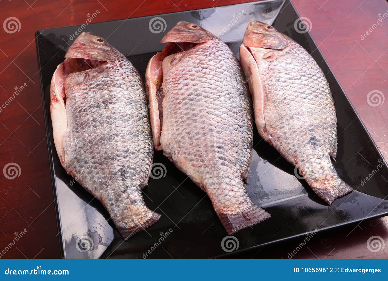 Fresh Tilapia Fish stock photo. Image of black, life - 106569612