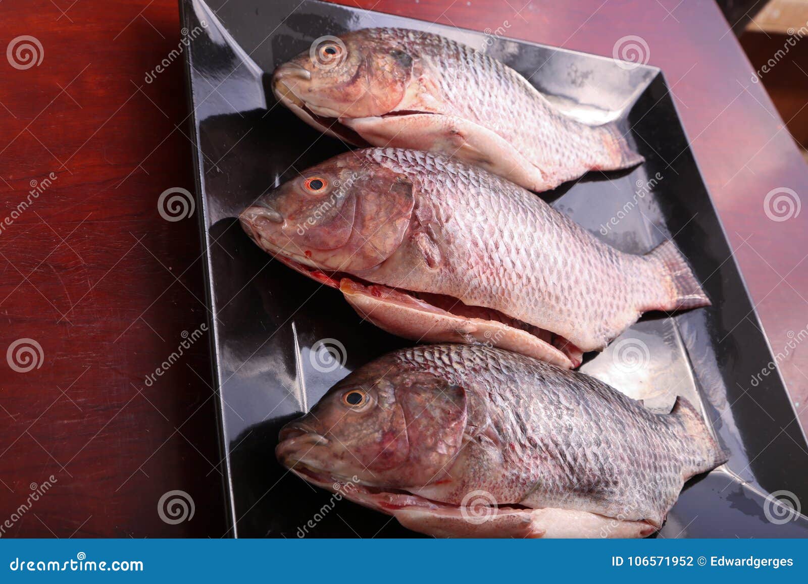 Fresh Tilapia Fish stock photo. Image of asia, exotic - 106571952