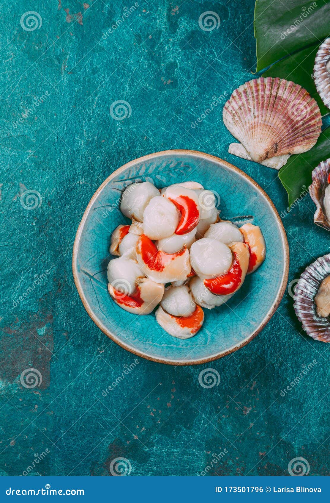 Raw Fresh Seafood Shellfish Scallops on Blue Background Stock Photo ...