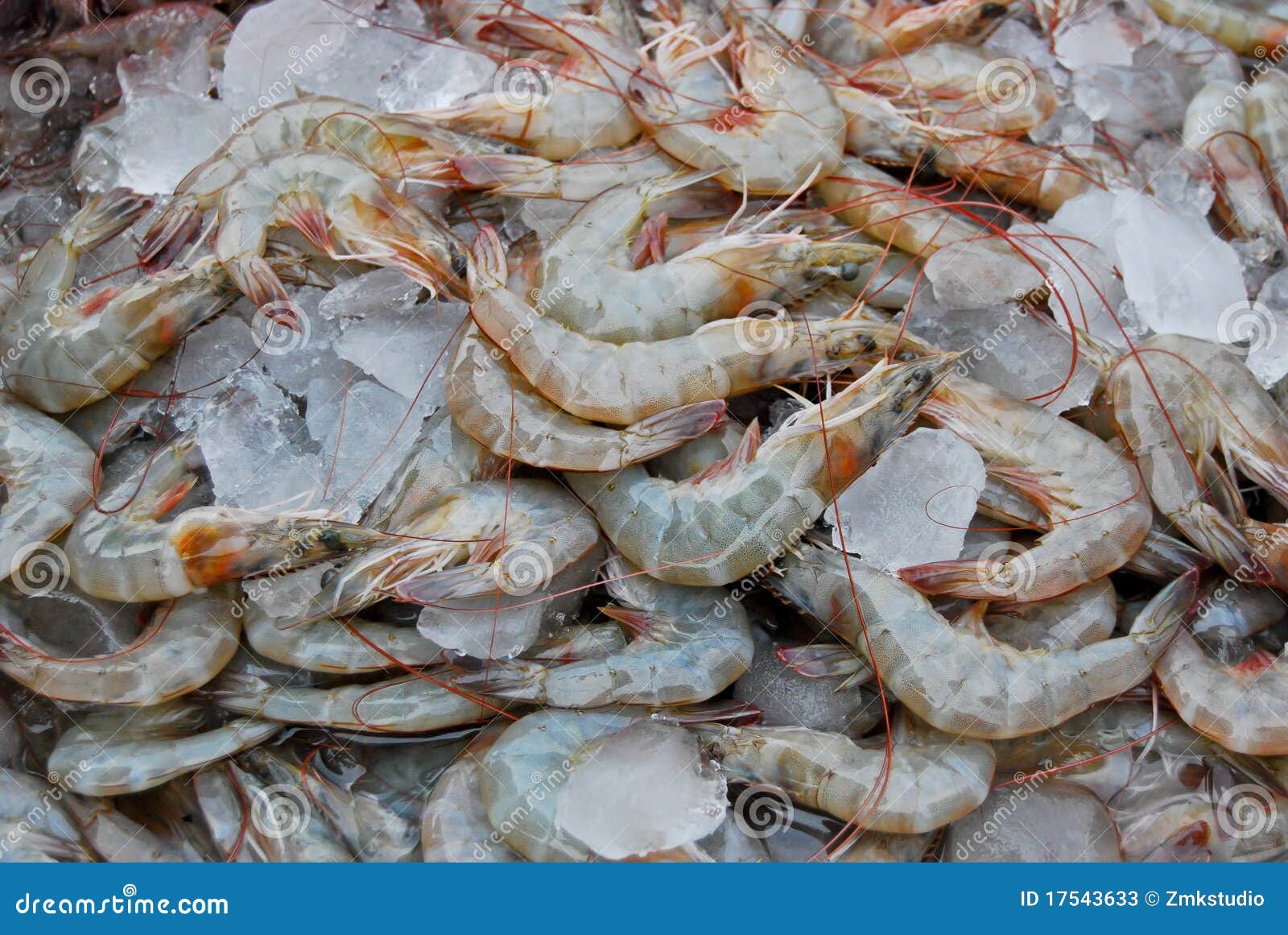 Raw fresh shrimp in market stock image. Image of ingredient - 17543633