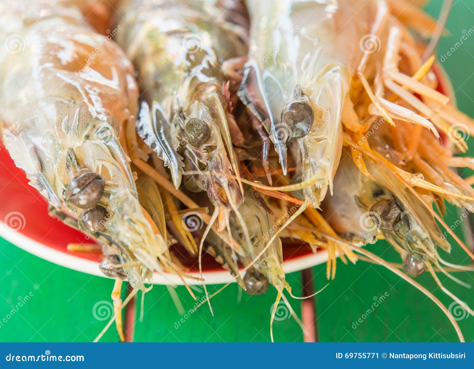 Raw Fresh Tiger Prawn on Red Dish Stock Image - Image of fresh, animal ...