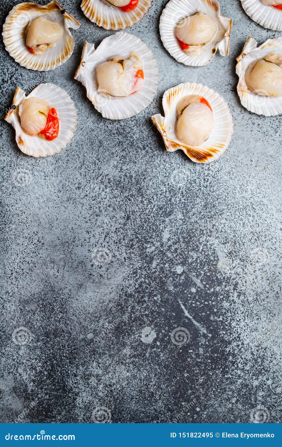 Raw Fresh Uncooked Scallops Stock Image - Image of organic, simple ...