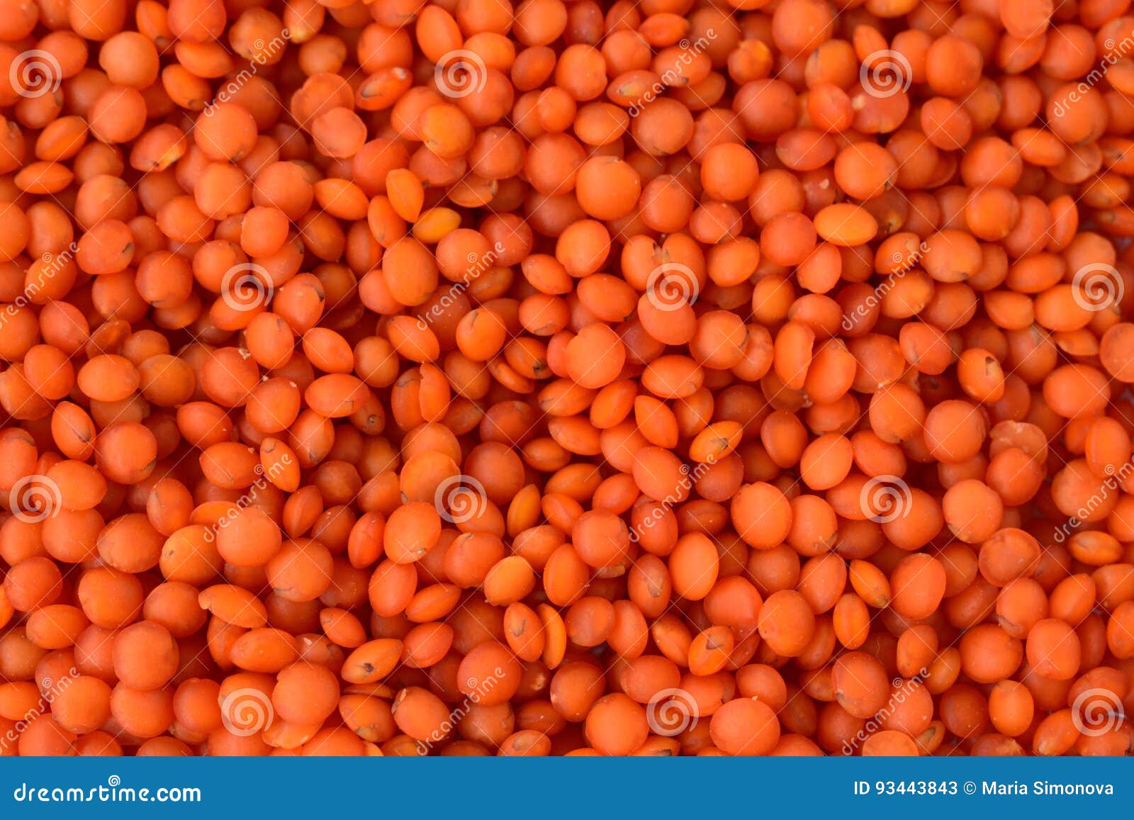 Raw Fresh Unwashed Red Lentils Beans Stock Image - Image of cuisine ...