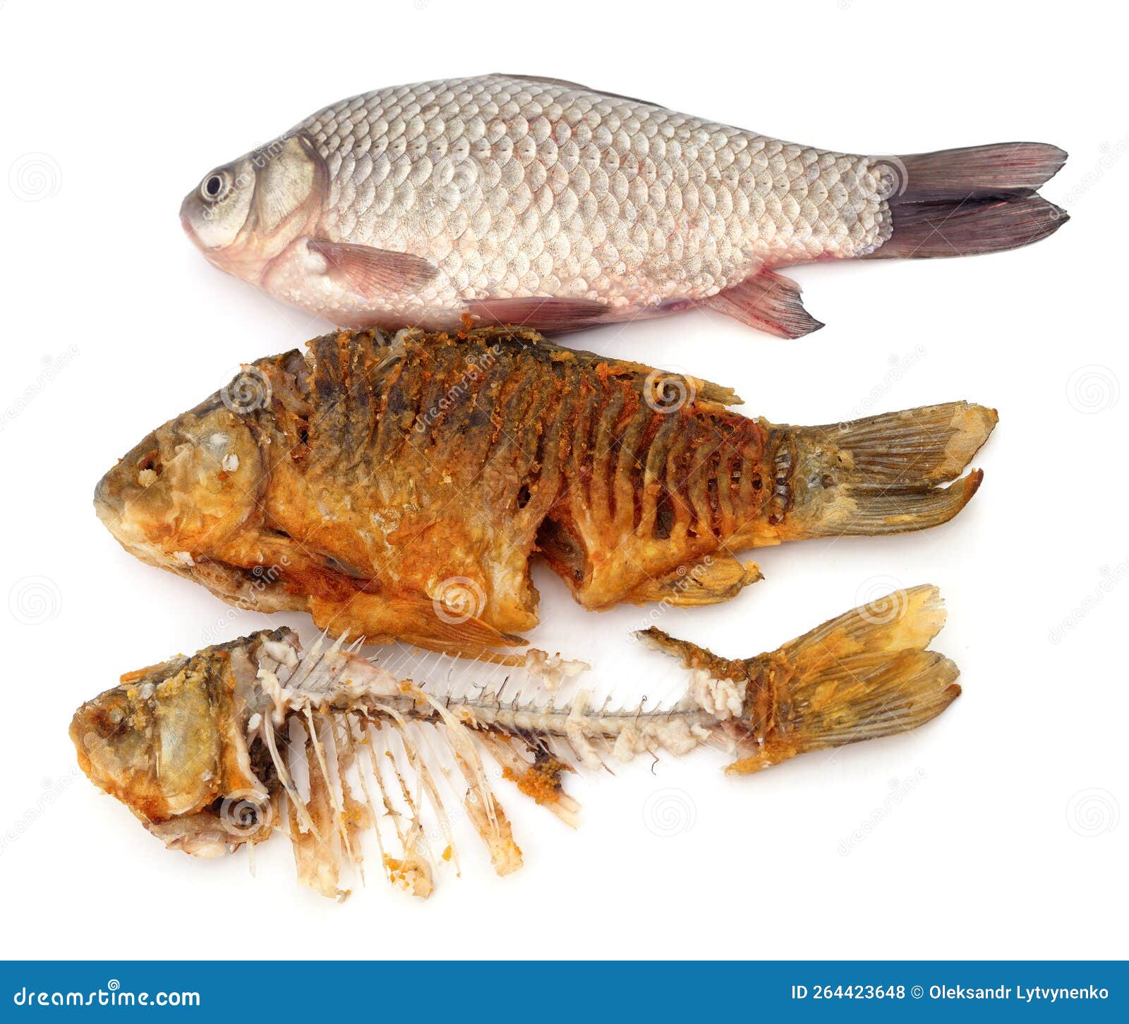 Raw and Fried Fish with Bones Stock Photo - Image of skeleton, meal ...