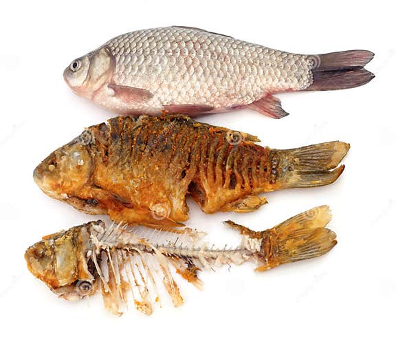 Raw and Fried Fish with Bones Stock Photo - Image of skeleton, meal ...