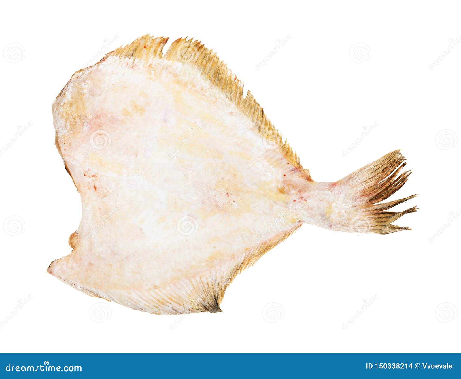 Frozen Headless Shrimp In Shells Royalty-Free Stock Photo ...